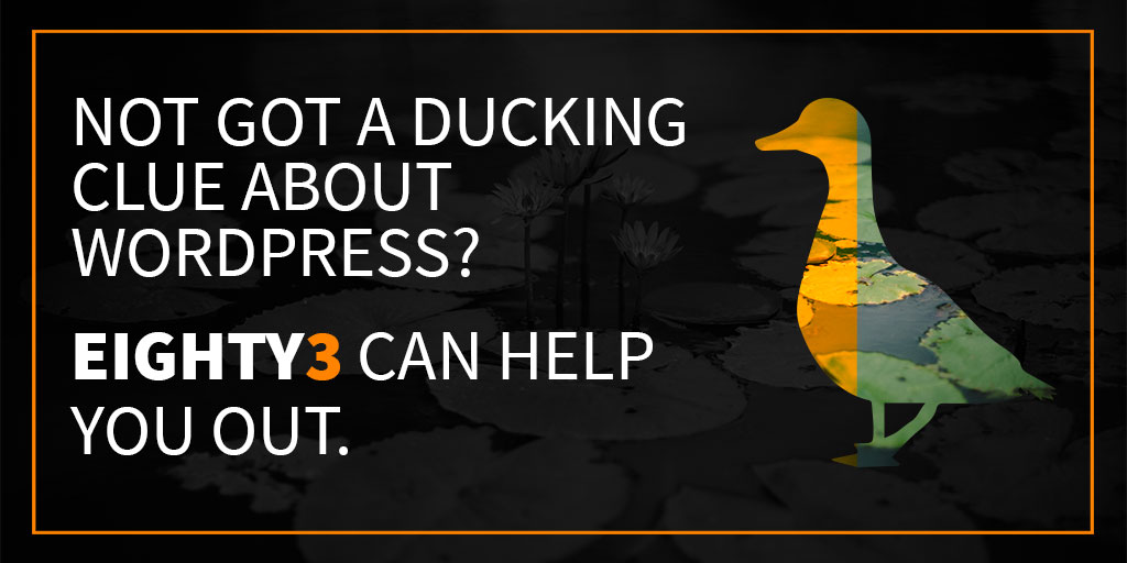 duck-share-image-twitter - Eighty3 Design Ltd
